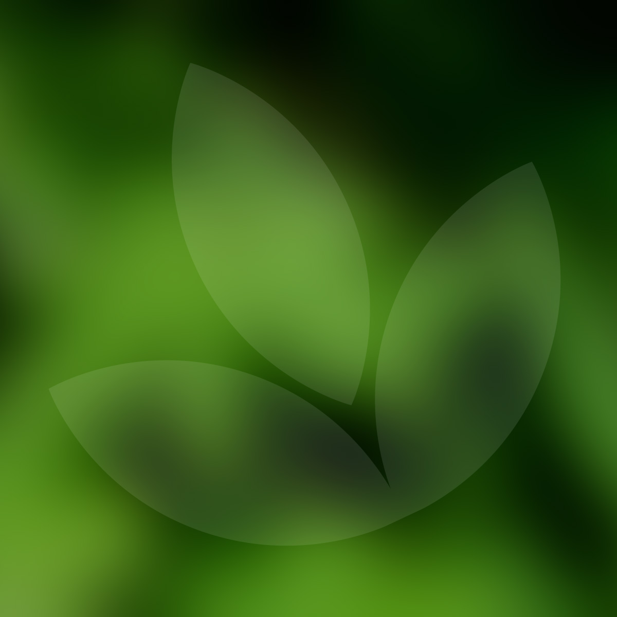 Speciality Trees - Buy premium quality advanced landscaping trees melbourne